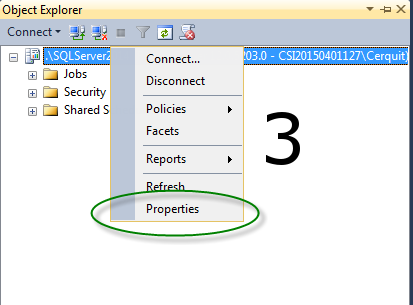 SQL Server Reporting Services – Vincy Boy!